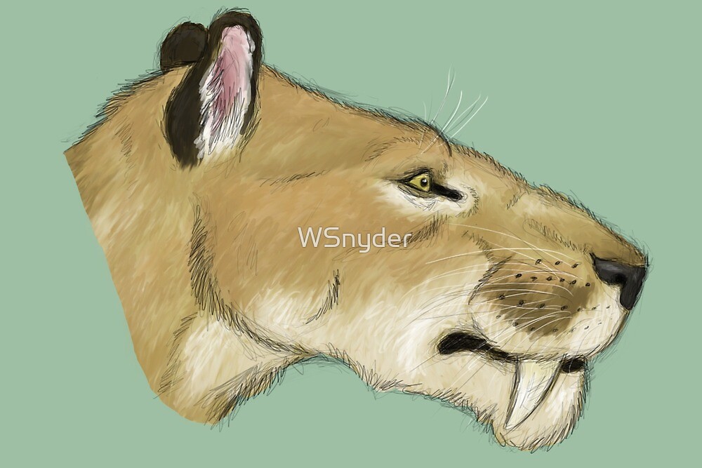 "Amphimachairodus giganteus, the dirk-toothed cat" by William Snyder ...