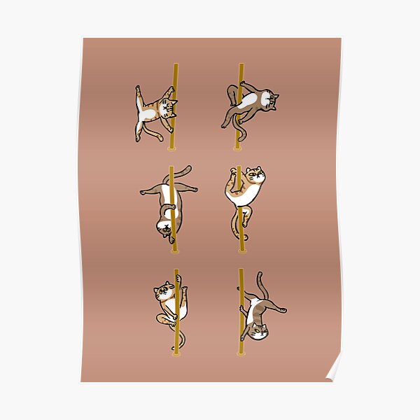 "Cats Pole Dancing Club" Poster for Sale by Huebucket | Redbubble