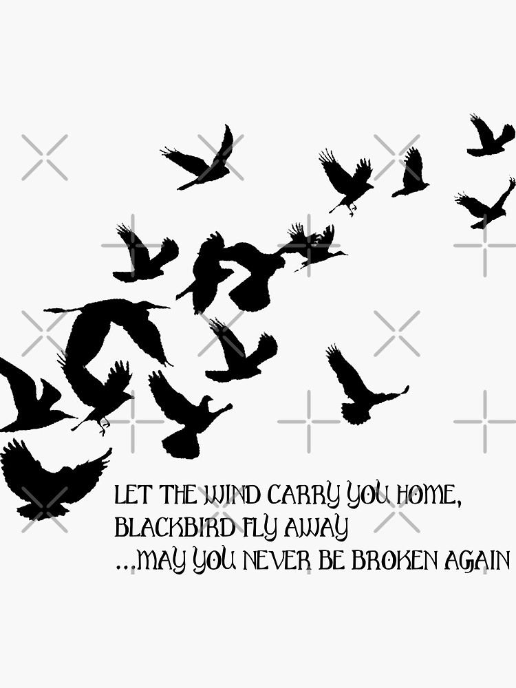"Blackbird, Alter Bridge - Lyrics" Sticker for Sale by fkndka | Redbubble