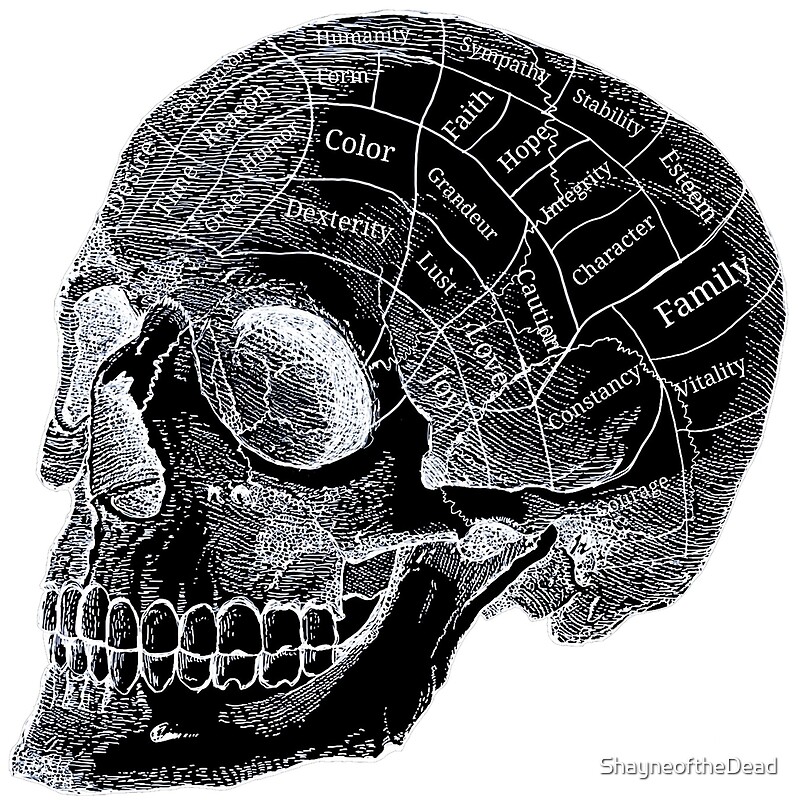 "Phrenology Skull" by ShayneoftheDead | Redbubble