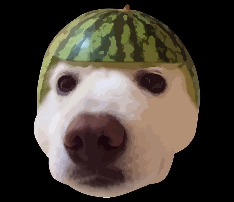 "Watermelon Helmet Dog" by Sillbong | Redbubble