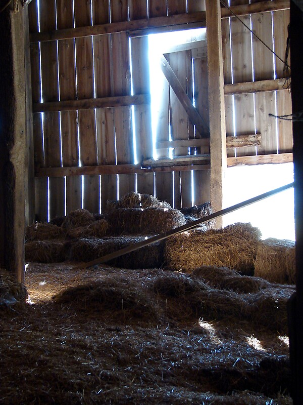 "Inside the Old Barn" by angelandspot | Redbubble