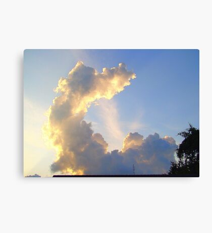 Odd Shaped: Canvas Prints | Redbubble