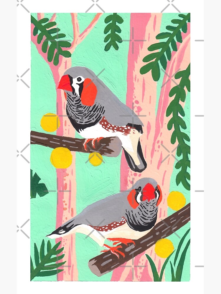 "Zebra finches on nature" Poster by bakingdesign | Redbubble