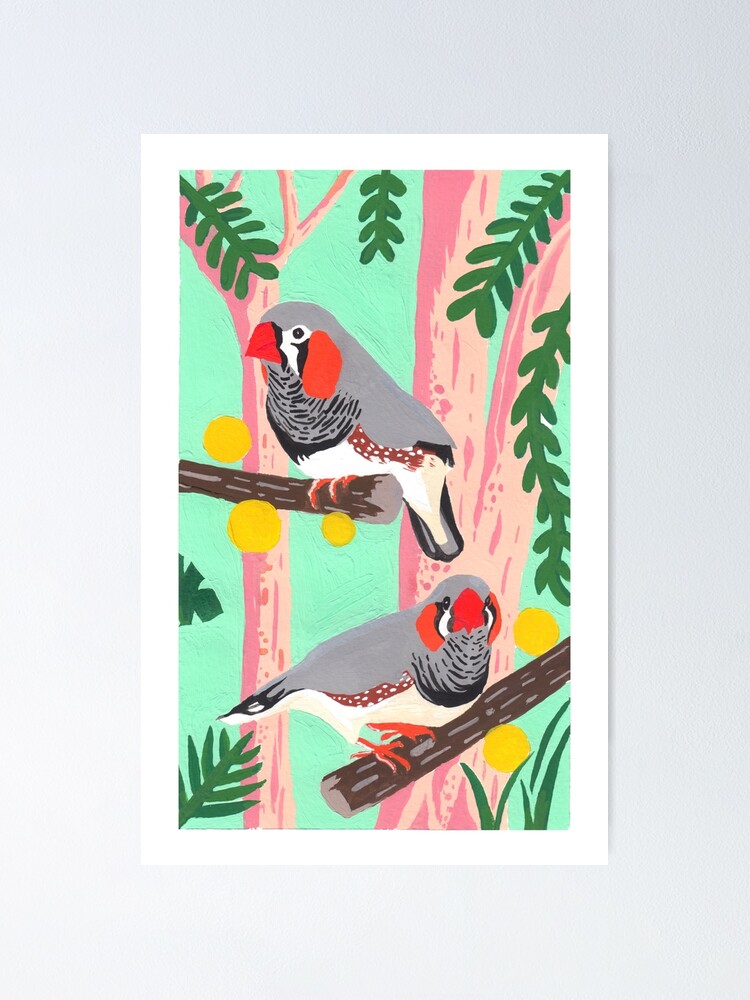 "Zebra finches on nature" Poster by bakingdesign | Redbubble