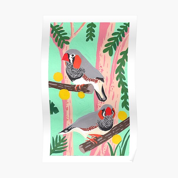 "Zebra finches on nature" Poster by bakingdesign | Redbubble