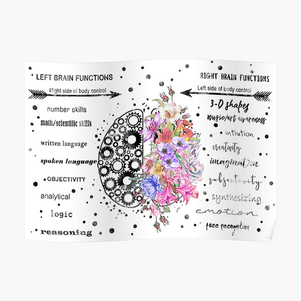 "Left and right brain function" Poster for Sale by Rosaliartbook ...