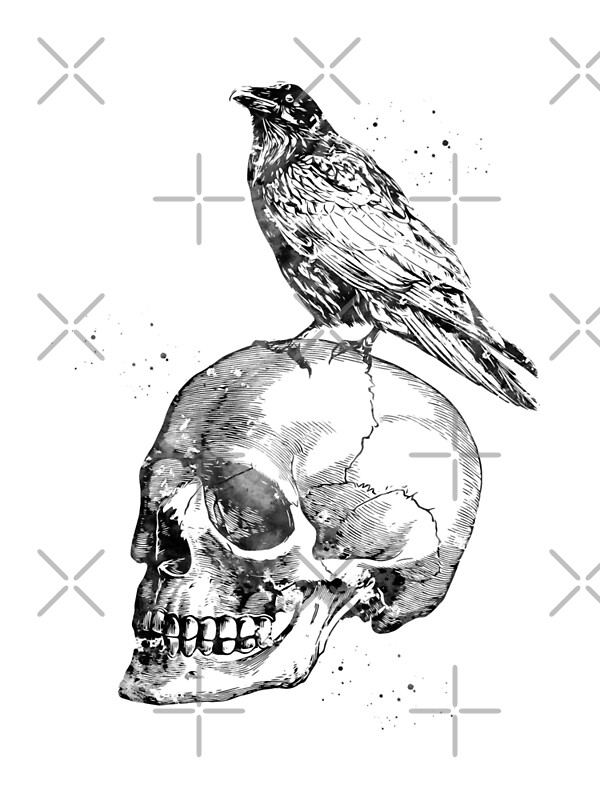 "Raven on a skull" by erzebetth | Redbubble