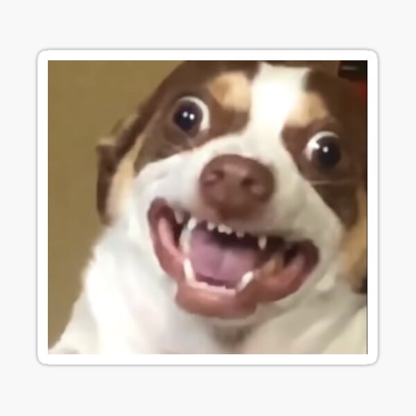 "Happy dog meme sticker" by JoeyMartin | Redbubble