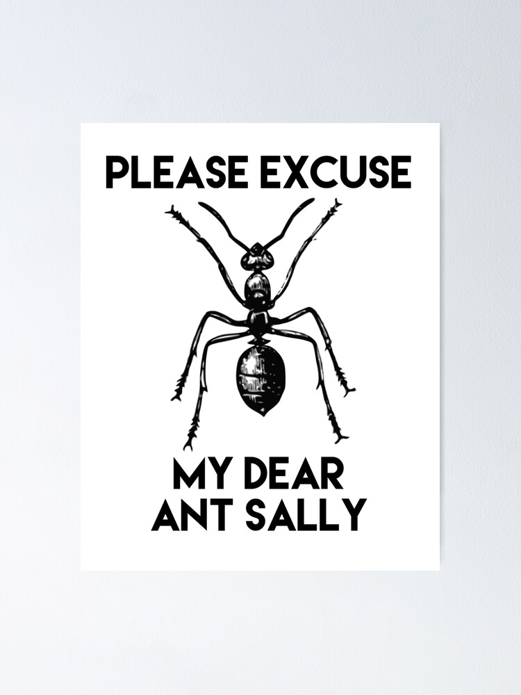 "Please excuse My Dear Aunt Sally PEMDAS" Poster for Sale by Exemplary ...