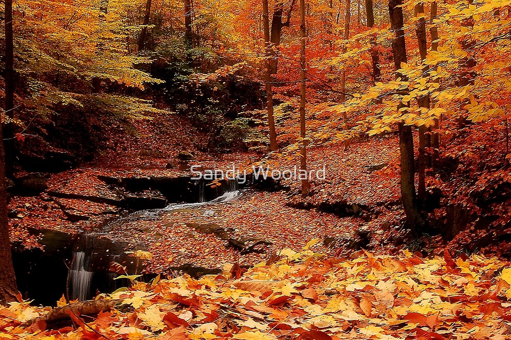"Colorful Hike" by Sandy Woolard | Redbubble