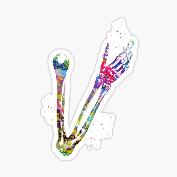 "Human Arm " Sticker for Sale by erzebetth | Redbubble