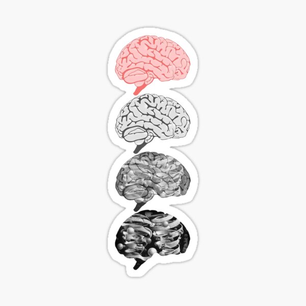 "Dark Matter = Grey Matter" Sticker for Sale by closeddoor | Redbubble