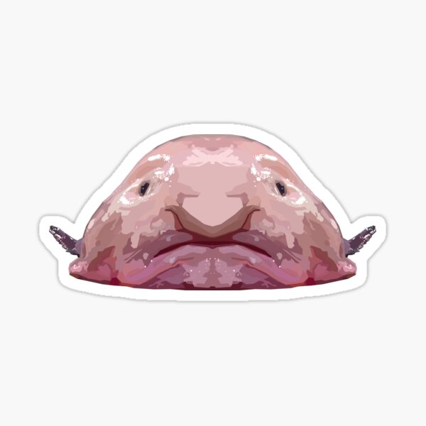 "Topographic: Blob Fish" Sticker for Sale by NoelleMBrooks | Redbubble
