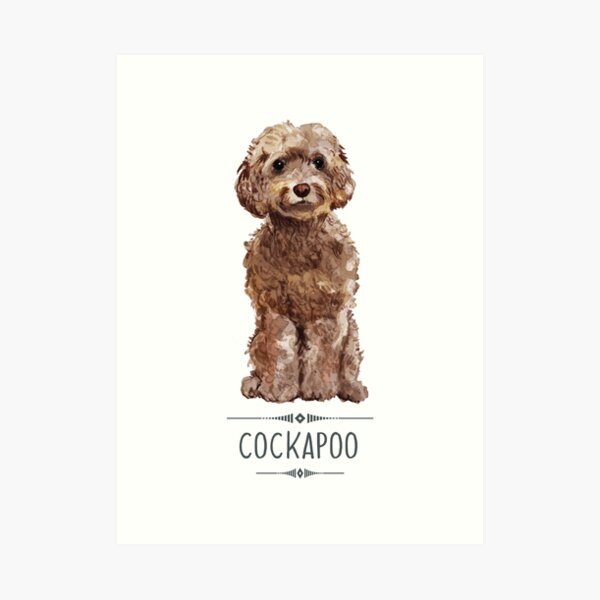 Cockapoo Wall Art | Redbubble