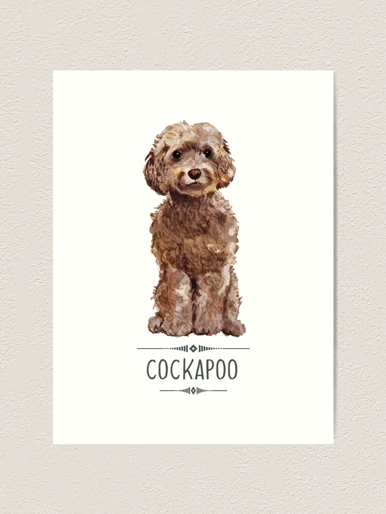"Cockapoo" Art Print by bullshirter | Redbubble