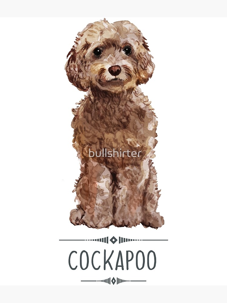 "Cockapoo" Art Print by bullshirter | Redbubble