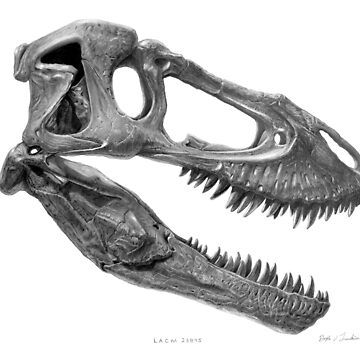 "Tyrannosaurus rex (sub-adult)" Poster for Sale by Doyle Trankina ...