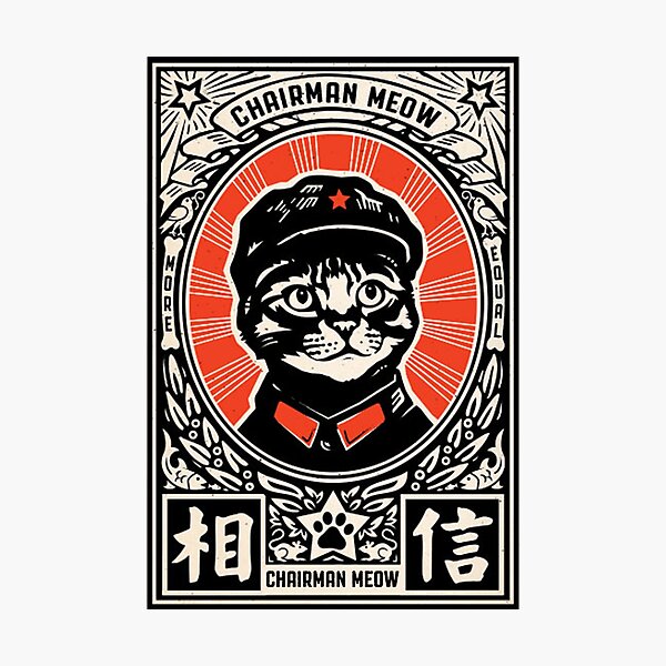 "Chairman Meow - Kittens of the world unite | Meow Tse Tung ...
