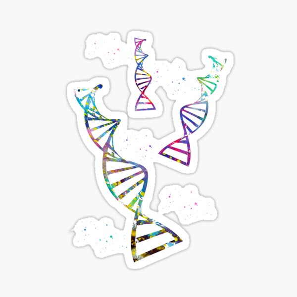 Dna Double Helix Genetic Stickers | Redbubble