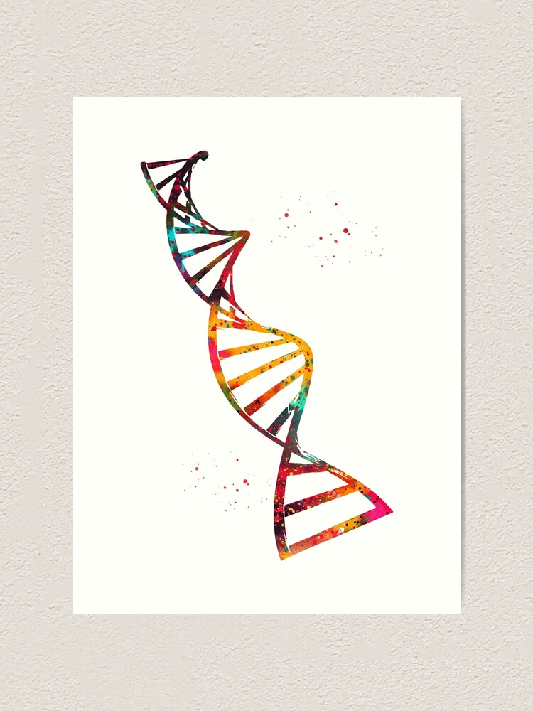"Double helix" Art Print by erzebetth | Redbubble