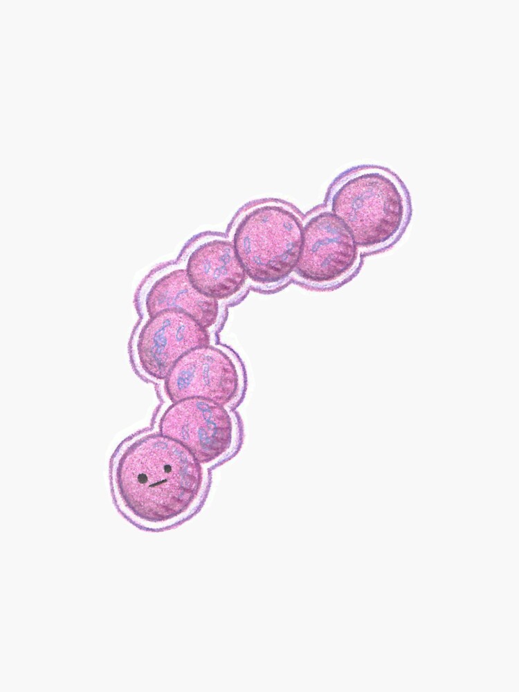 "Streptococcus pyogenes" Sticker for Sale by cmjk | Redbubble