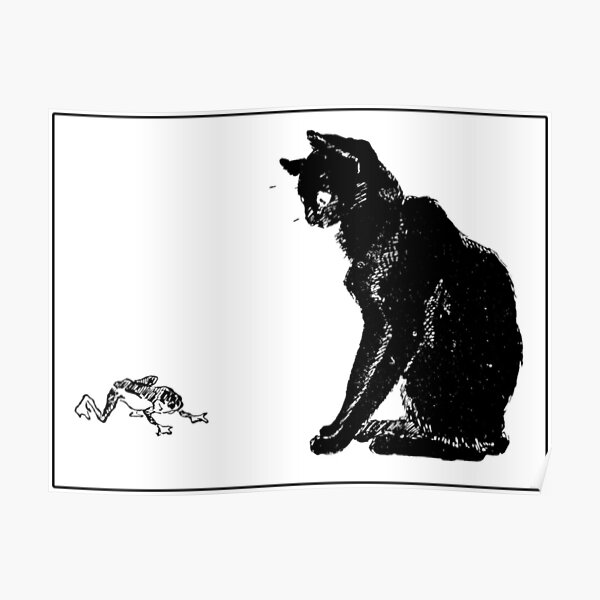 Póster «GATO Y RANA» de FrenchFactory | Redbubble