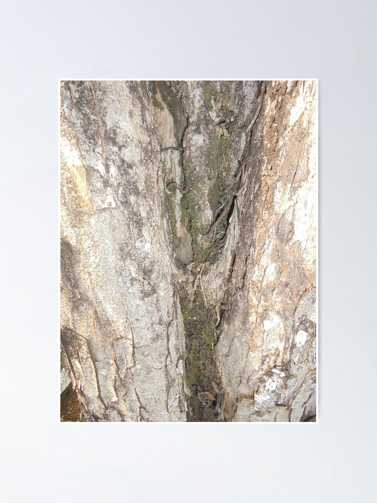 "Tree Branches" Poster for Sale by ztsafrina | Redbubble