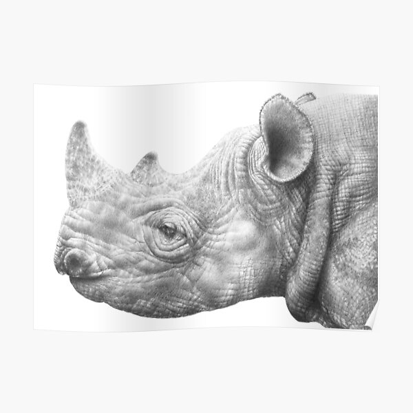 "Black Rhino" Poster for Sale by lornamulligan | Redbubble