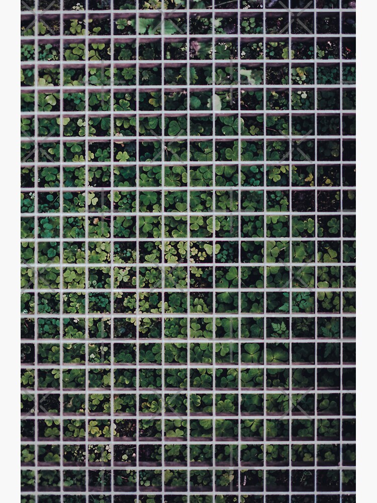 "Cloverfield" Sticker for Sale by cedricurbany | Redbubble