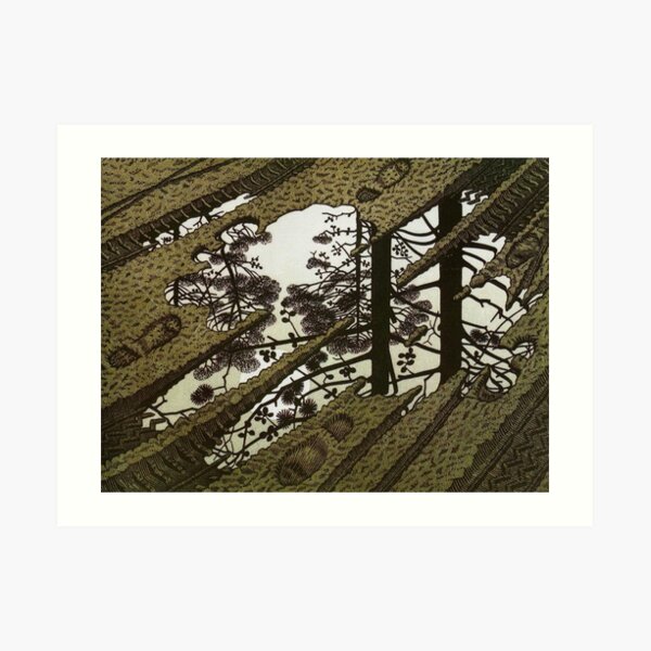 "Puddle 1952 paradox - Maurits Cornelis Escher" Art Print for Sale by ...