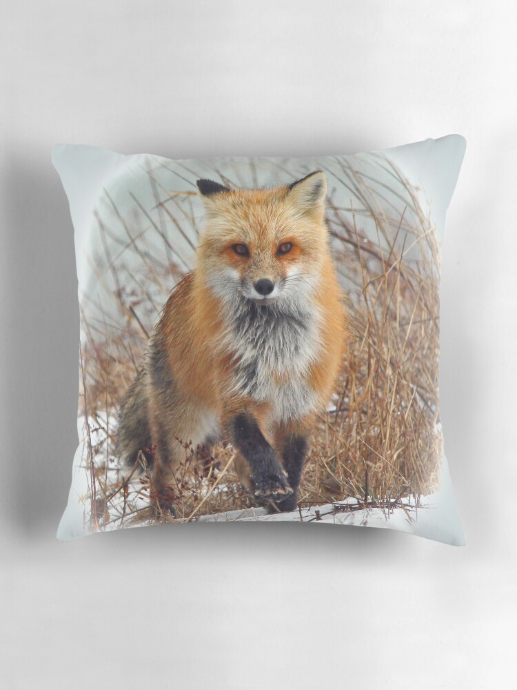 "Red Fox" Pillow for Sale by johnny55 | Redbubble