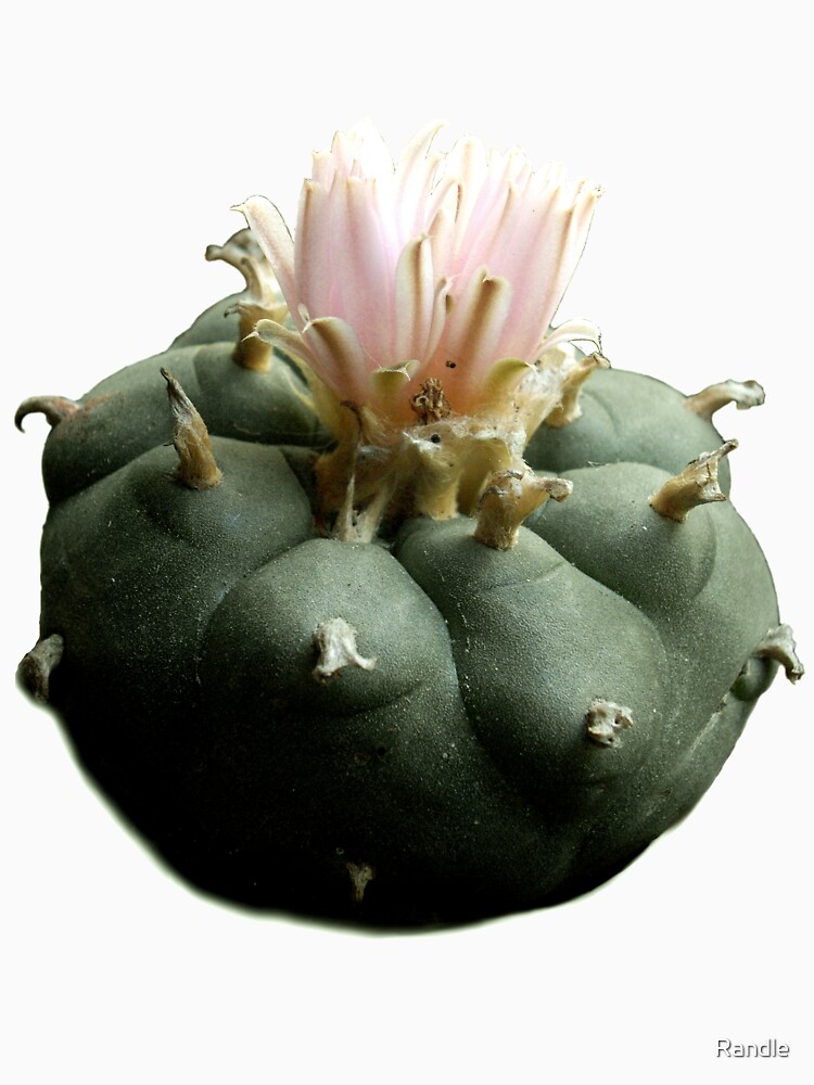 "Peyote" T-shirt for Sale by Randle | Redbubble | peyote t-shirts ...