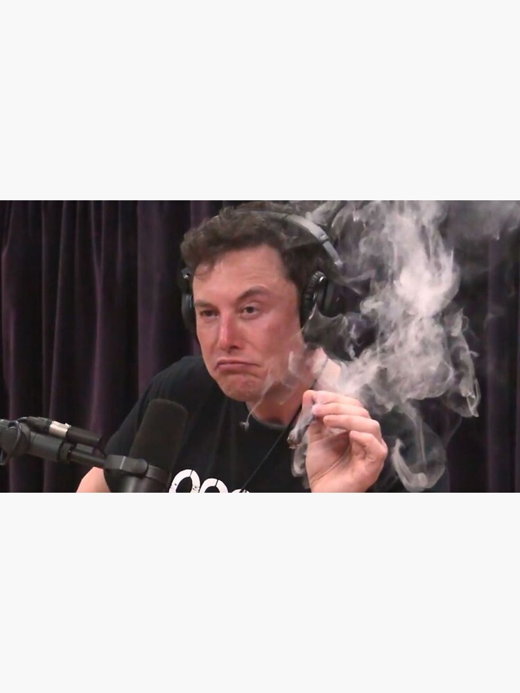 "Elon Musk Blunt Meme" Sticker by yungsnack | Redbubble