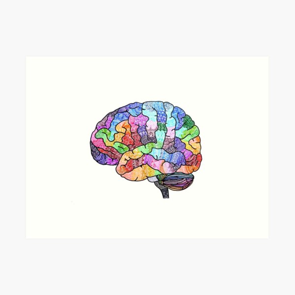 "The Rainbow Brain " Art Print by hanaayoob | Redbubble