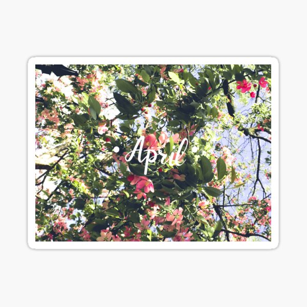 "April" Sticker for Sale by Amelyne | Redbubble