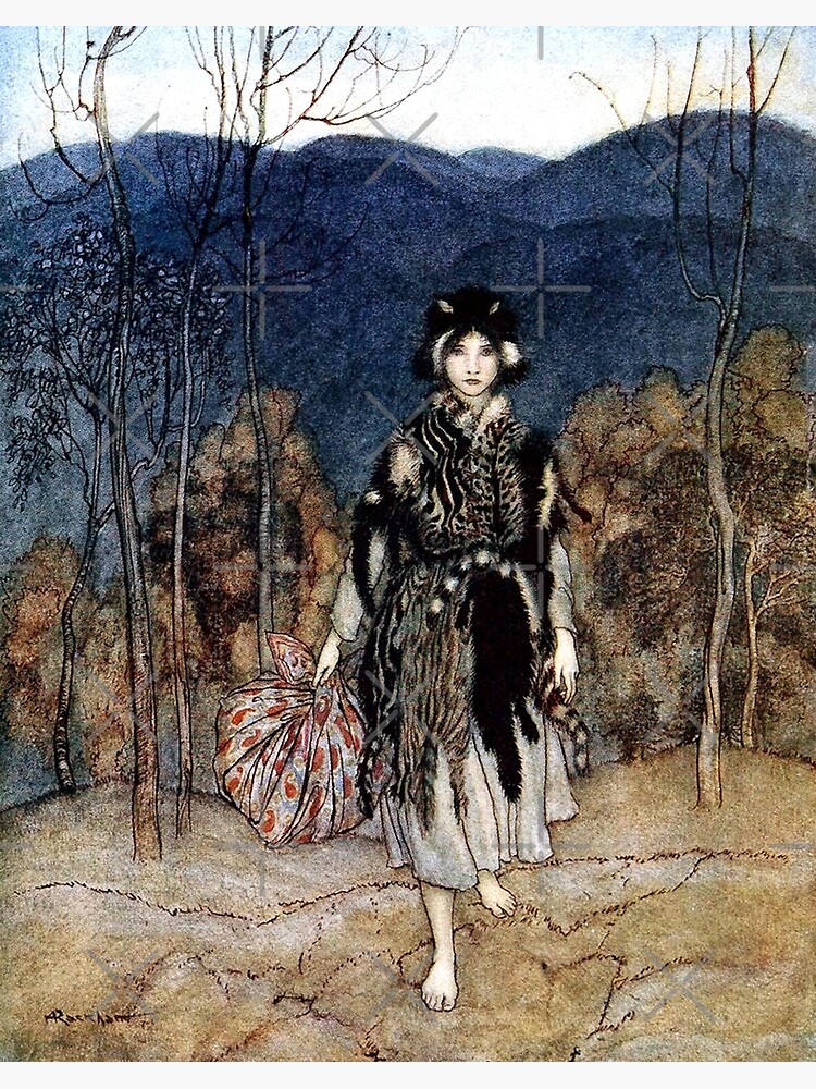 "Cat-skin - Brothers Grimm - Arthur Rackham" Art Board Print for Sale ...