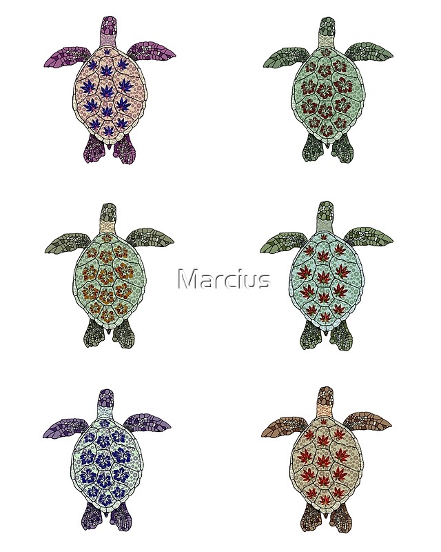"Colour 6 element turtle pattern" by Marcius | Redbubble