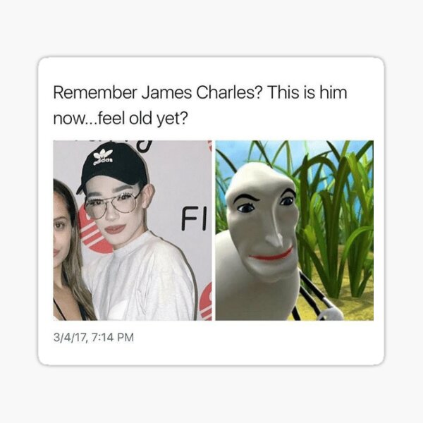 "FLASHBACK MARY" Sticker for Sale by cadac1234 | Redbubble