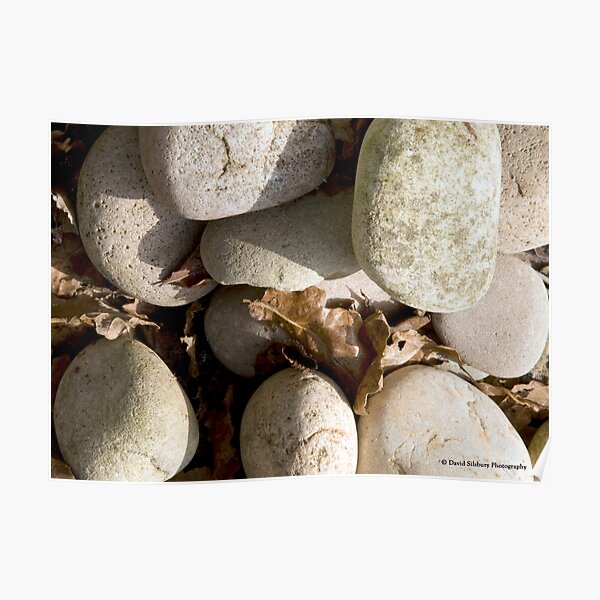 Stoned Again Posters | Redbubble