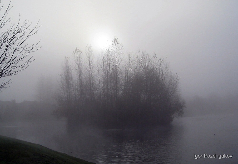 "Lake in Kent (WA) near Seattle" by Igor Pozdnyakov | Redbubble