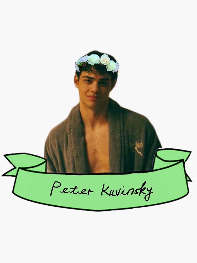 "Peter Kavinsky sticker" Sticker by alex44695 | Redbubble
