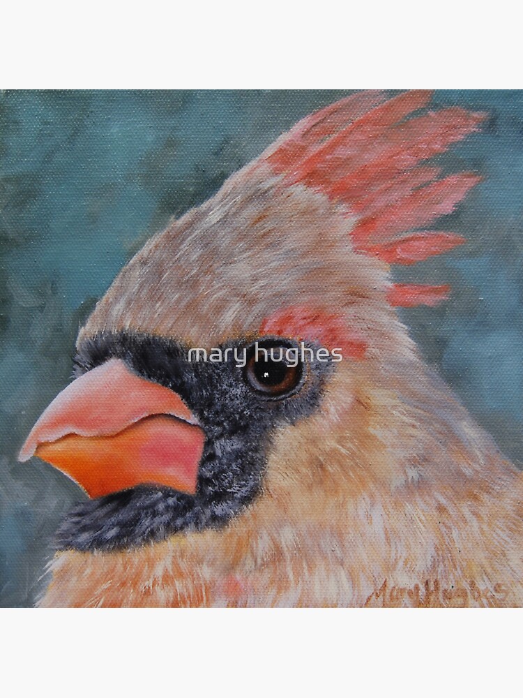 "Female Cardinal" Sticker for Sale by mary hughes | Redbubble