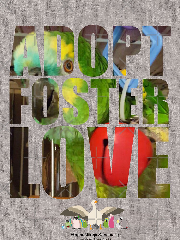"ADOPT FOSTER LOVE! - PePe & Bell" Lightweight Hoodie for Sale by ...