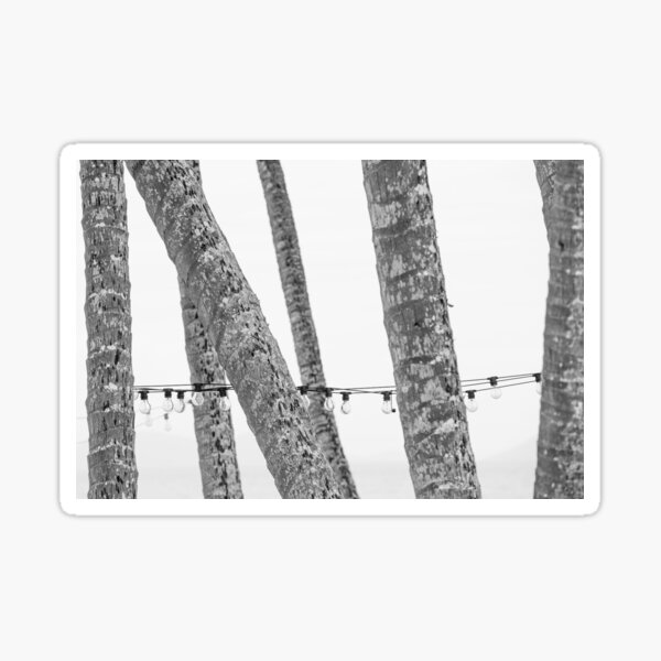 "String of Lights, Palm Cove" Sticker by lizac | Redbubble