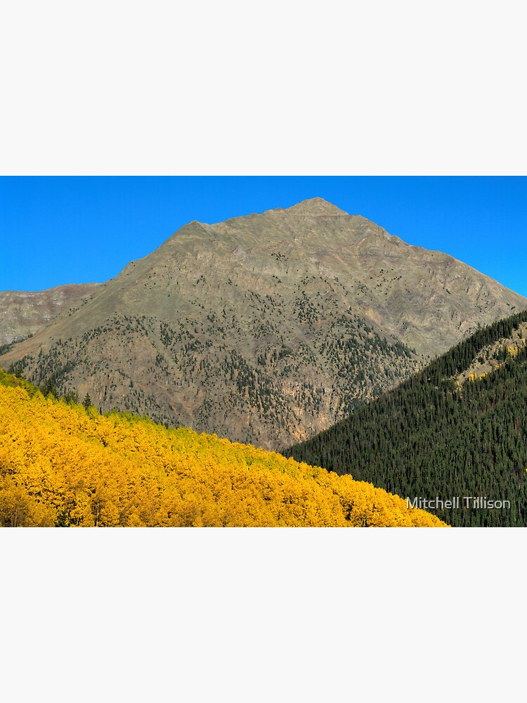 "Azure, Maize, and Vert" Poster by TheBlindHog | Redbubble