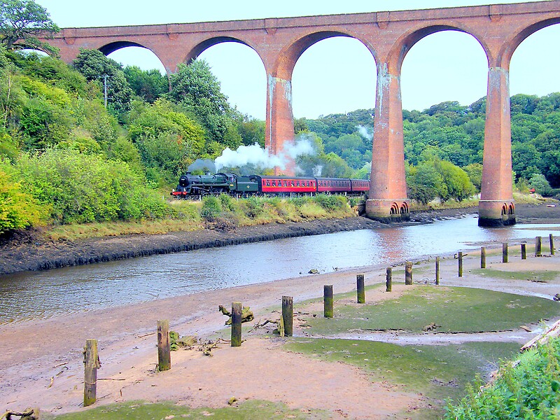 " Larpool Viaduct, Whitby" by FritzFitton | Redbubble