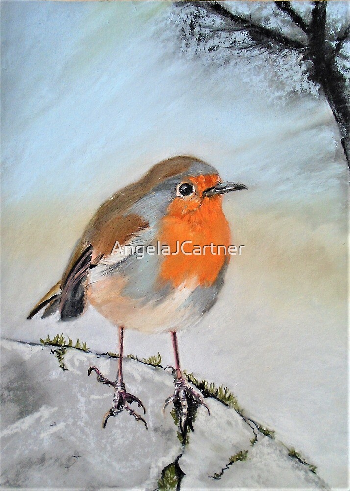 "Robin redbreast" by AngelaJCartner | Redbubble