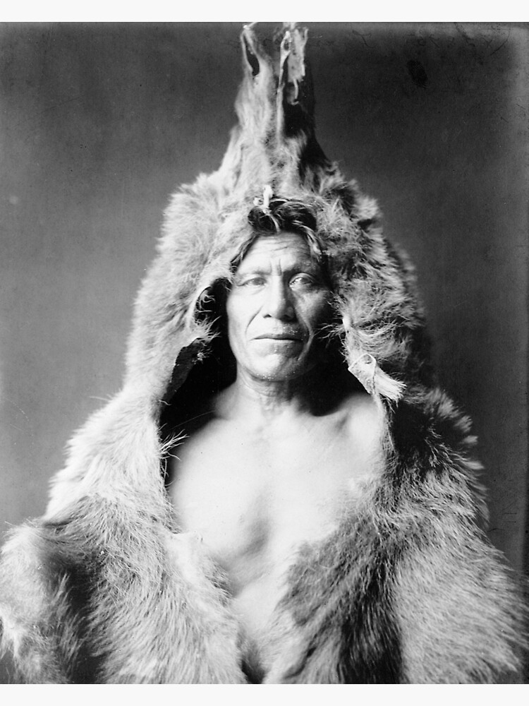 "Indian Wearing Bearskin, 1908. Vintage Photo" Poster by historyphoto ...