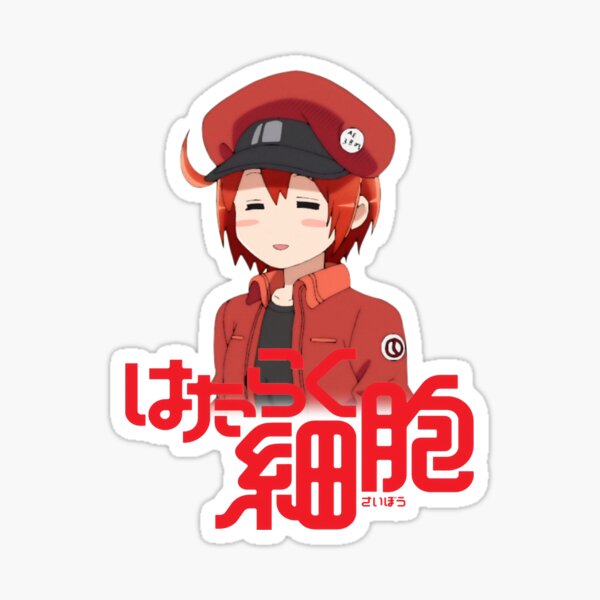 "Red Blood Cell" Sticker by migdrum | Redbubble